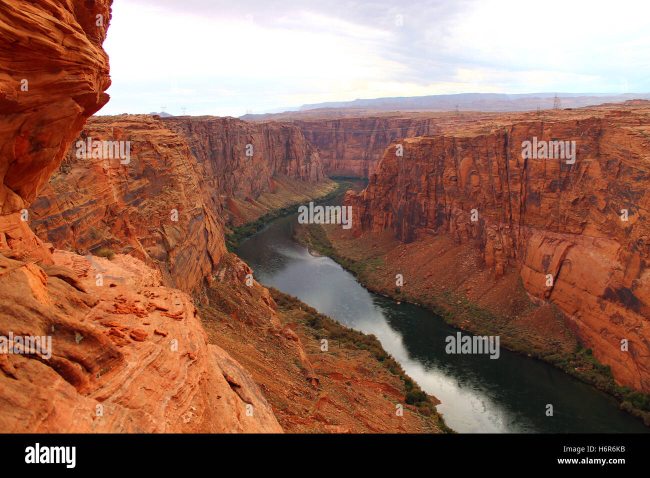 ground soil earth humus spring bouncing bounces hop skipping frisks ...