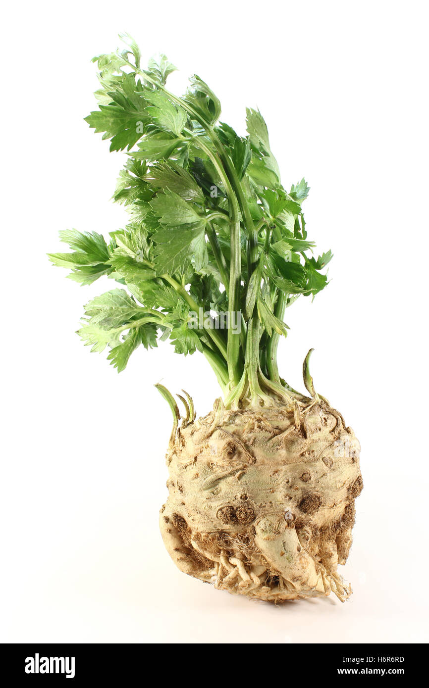 vegetable diet tuber page sheet sellery celery fresh salad food aliment ...