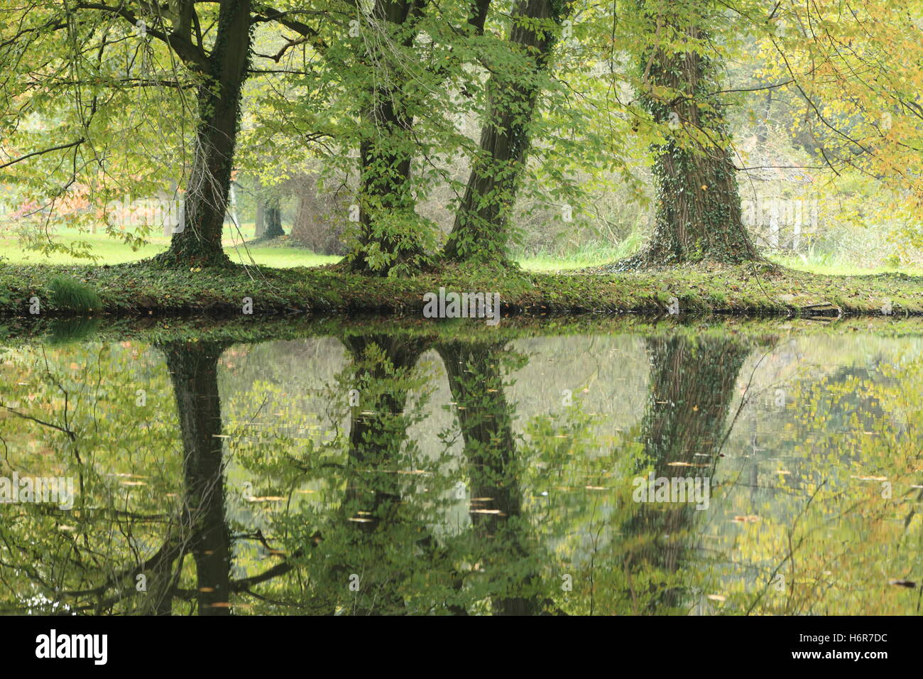 Reflection autumn in water hi-res stock photography and images - Alamy