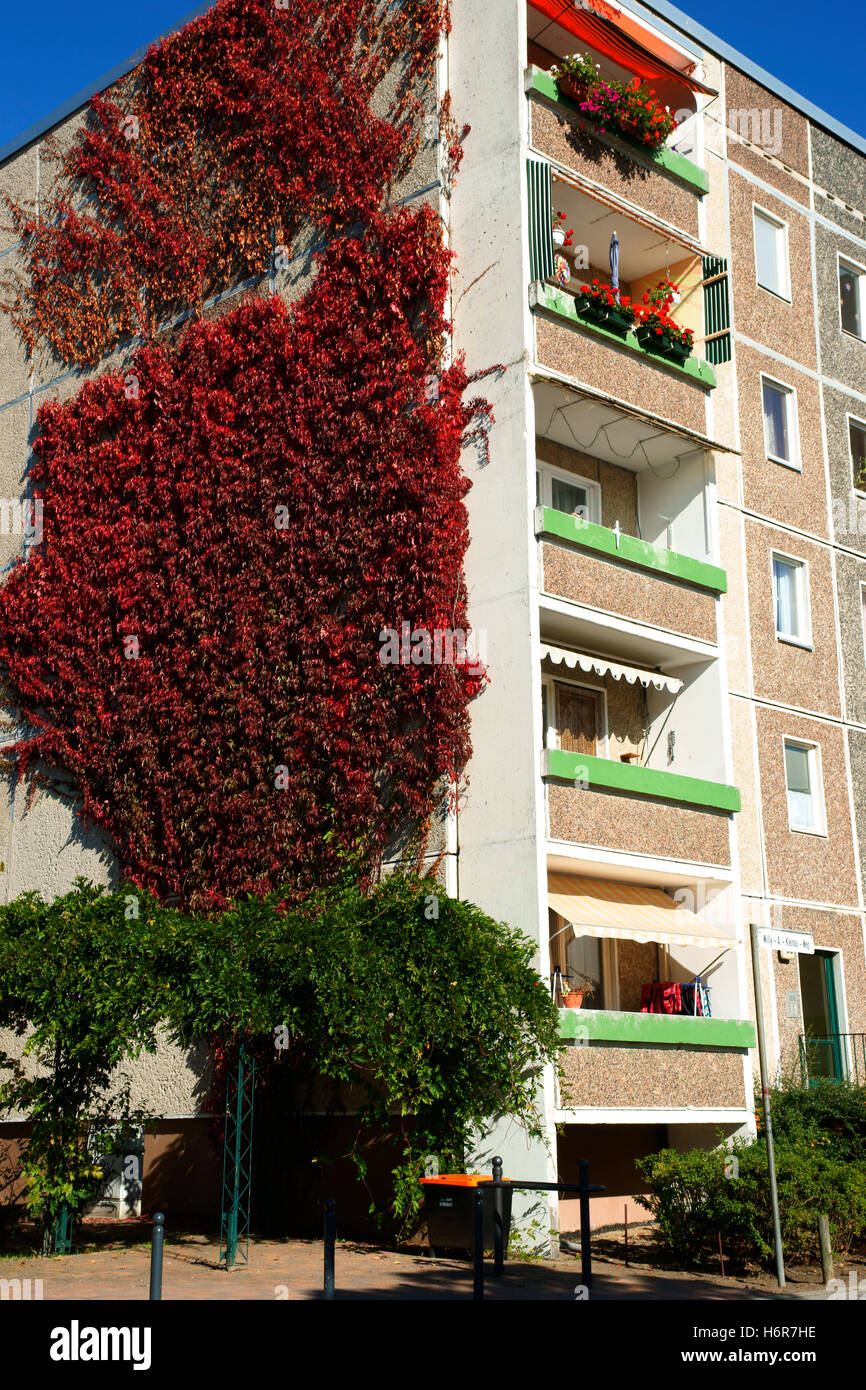 house facades with creeper Stock Photo - Alamy