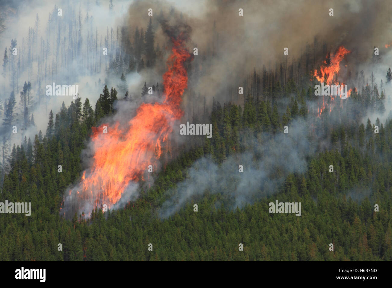 Forest fire hot spot hi-res stock photography and images - Alamy
