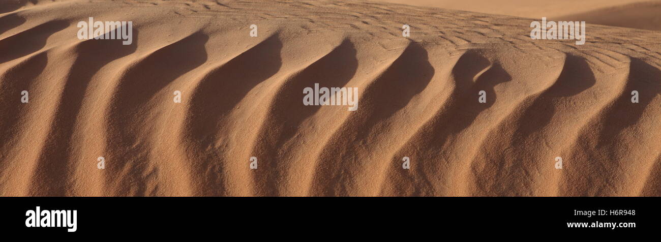 Sahara salt oasis hi-res stock photography and images - Alamy