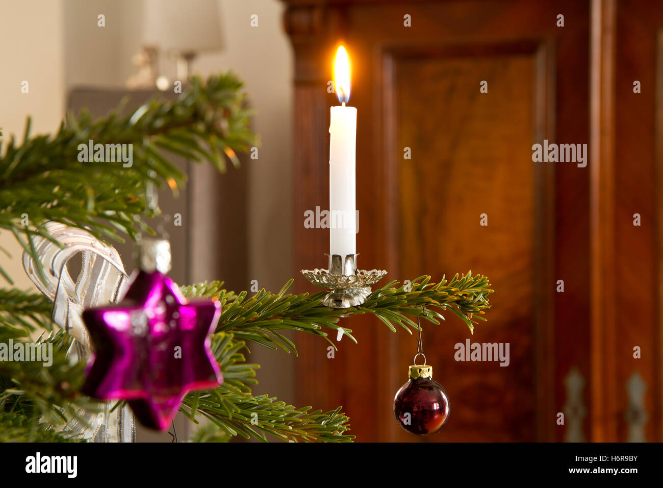Tree tree of life hi-res stock photography and images - Alamy