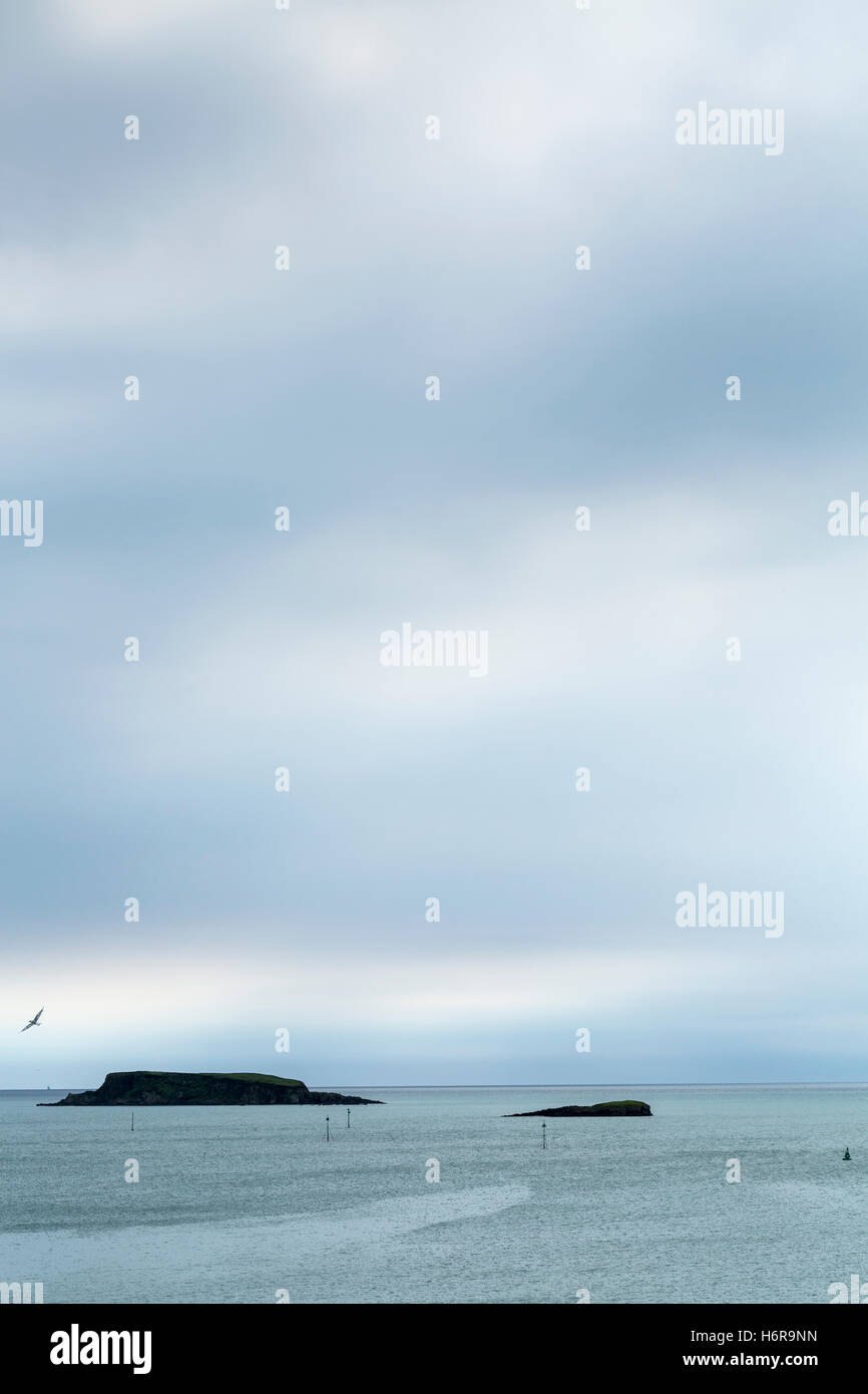 Cork harbour islands hi-res stock photography and images - Alamy