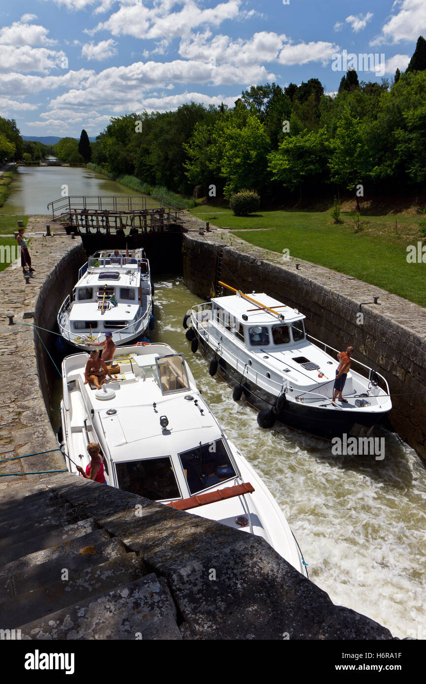 tree trees bridge leaves shine shines bright lucent light serene ...