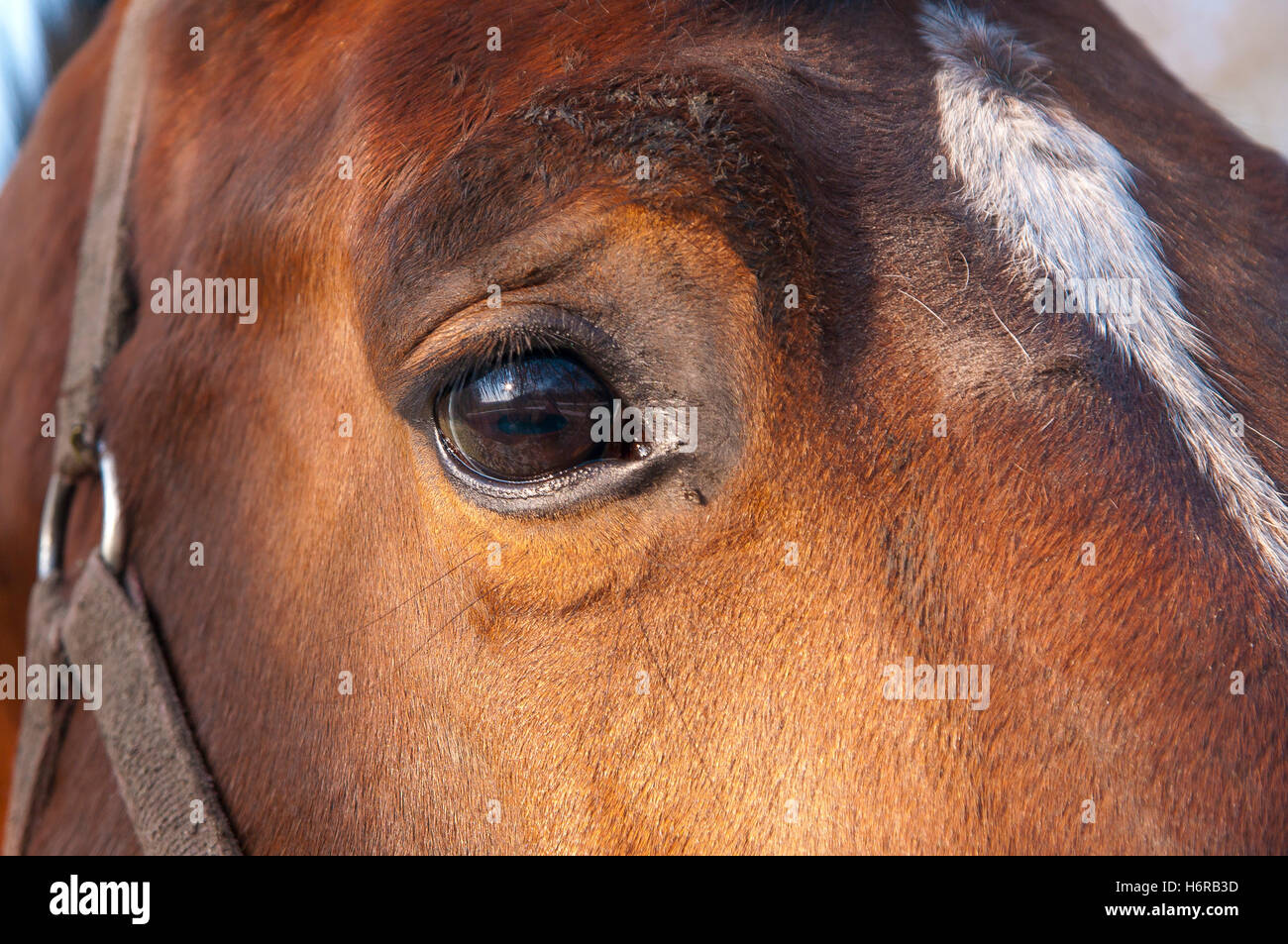 Useful detail hi-res stock photography and images - Alamy