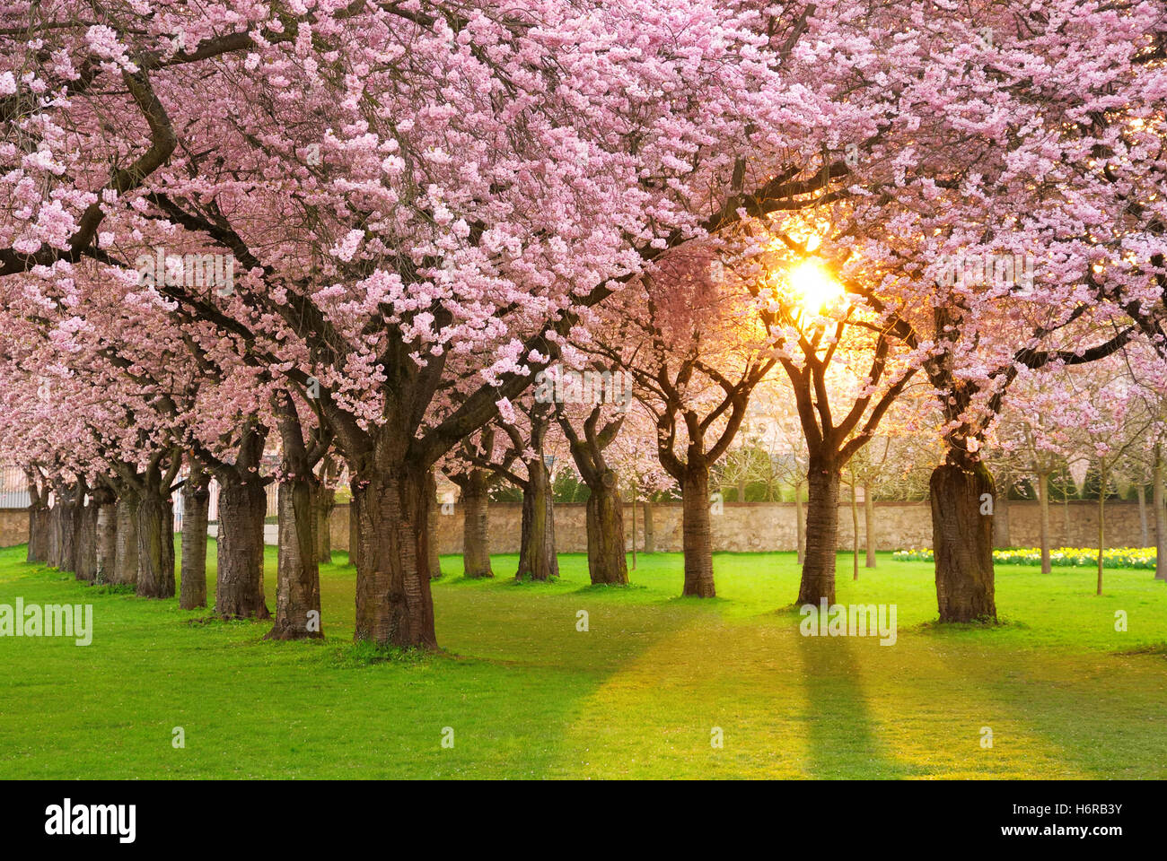 Celestial scene hi-res stock photography and images - Alamy