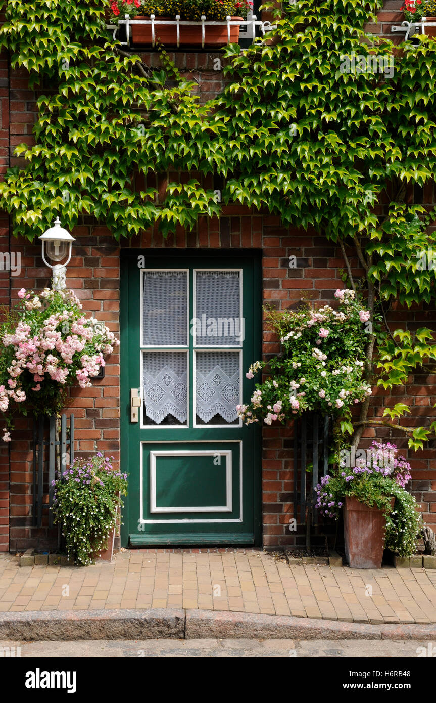 Flower exposure hi-res stock photography and images - Alamy