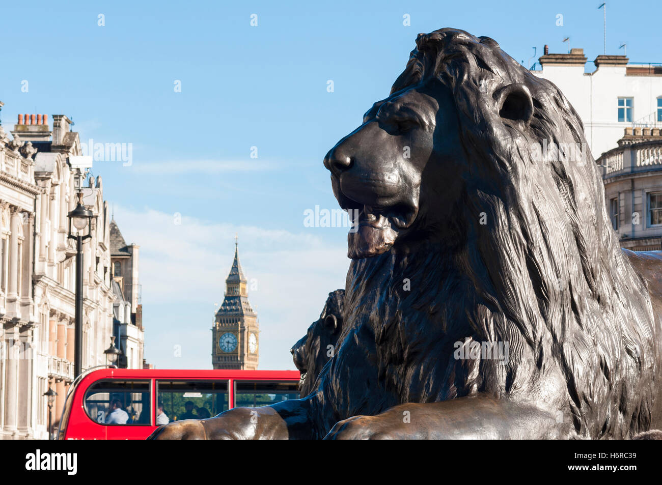 detail city town monument famous statue lion cat big cat feline ...