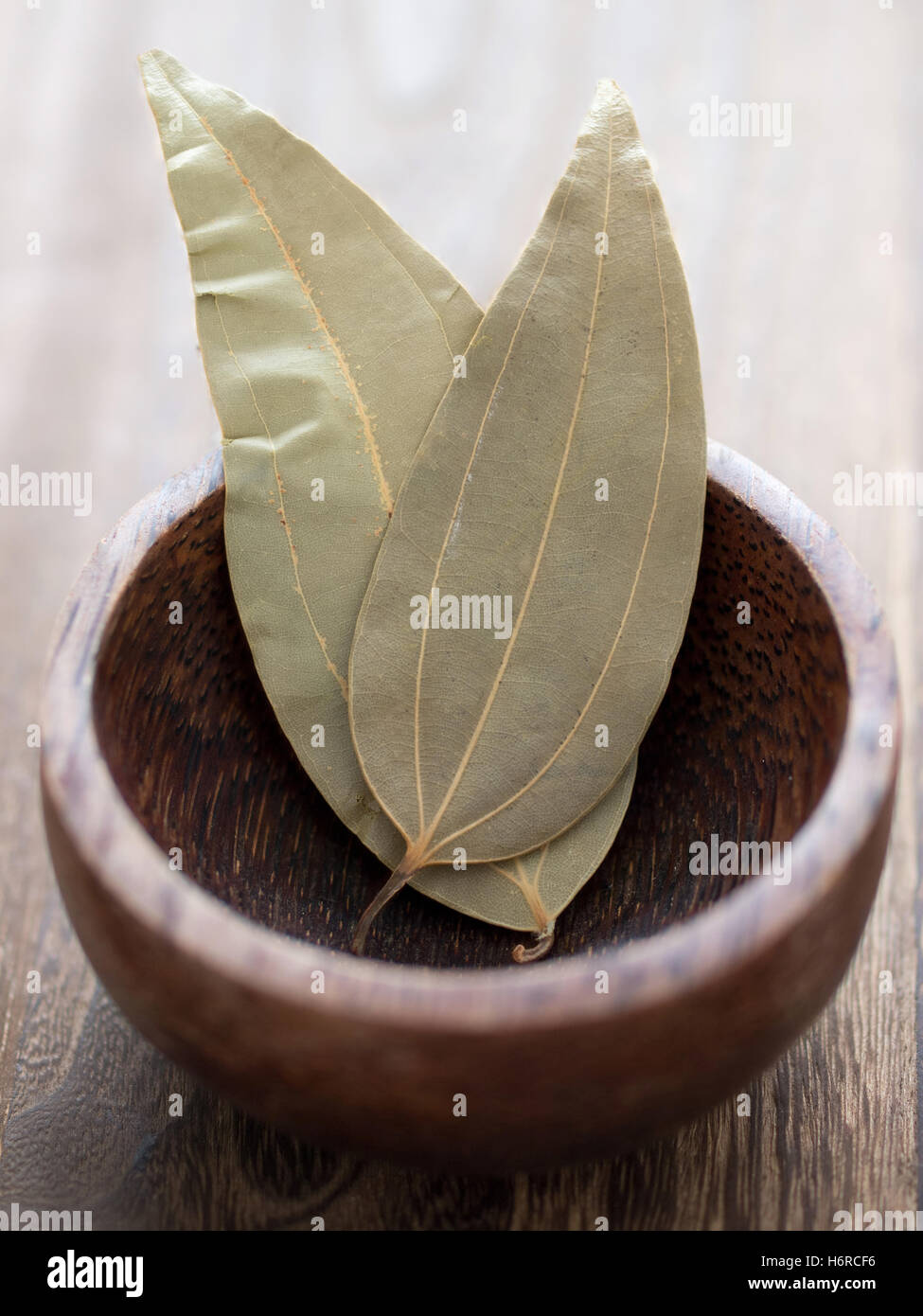 leaves aromatic bay dried spices herb ingredient indian foliage leaf ...