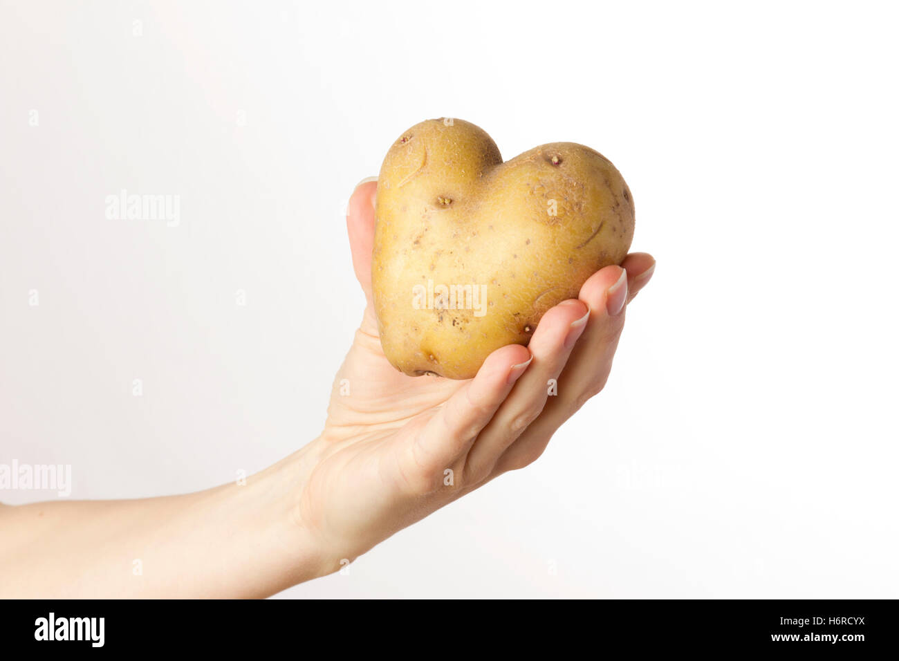 hand affection valentines day valentin love in love fell in love heart ...