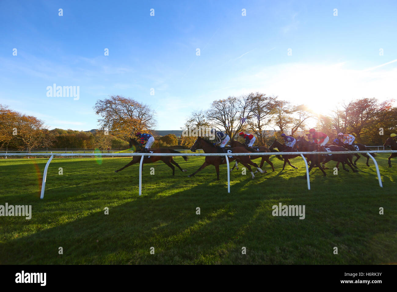 Plumpton, UK. 31st October 2016. Runners and riders round the top of ...