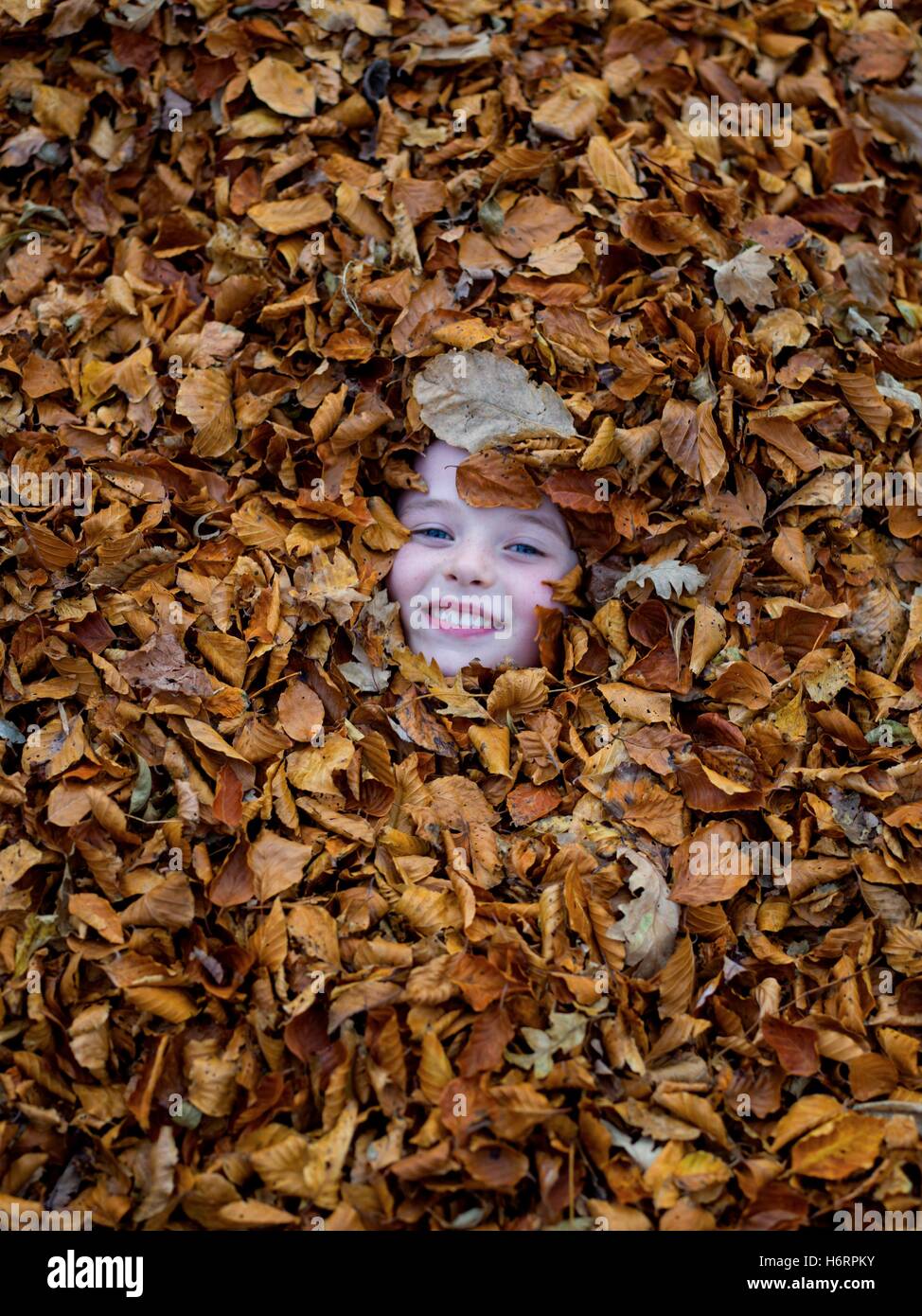 Kerry dark sky reserve ireland hi-res stock photography and images - Alamy