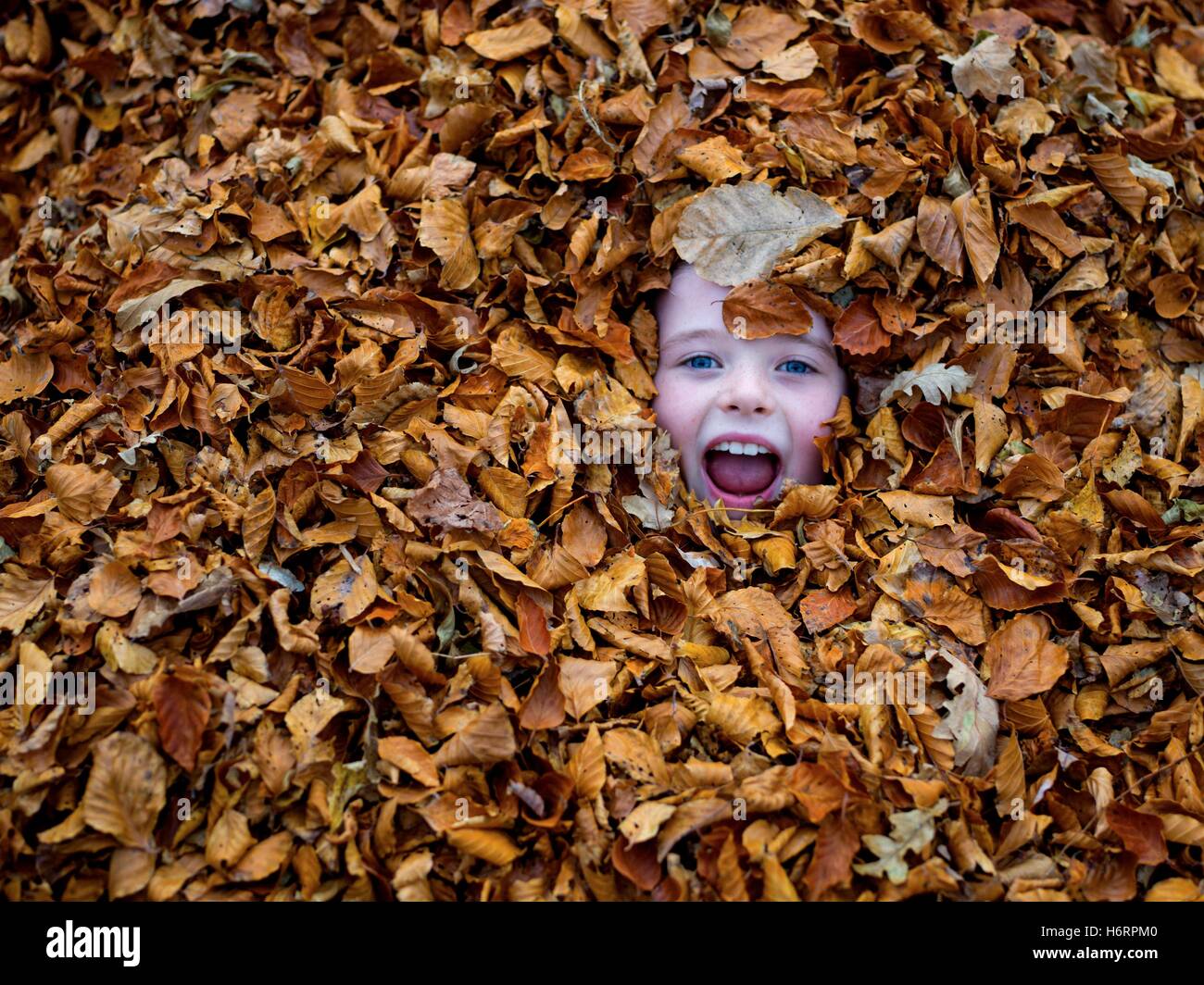 Kerry dark sky reserve ireland hi-res stock photography and images - Alamy