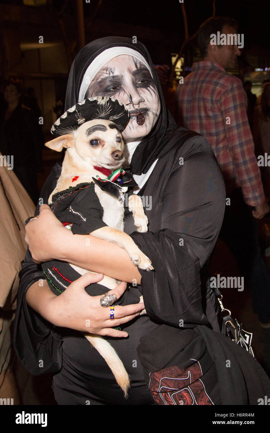 Nun with dog hi-res stock photography and images - Alamy