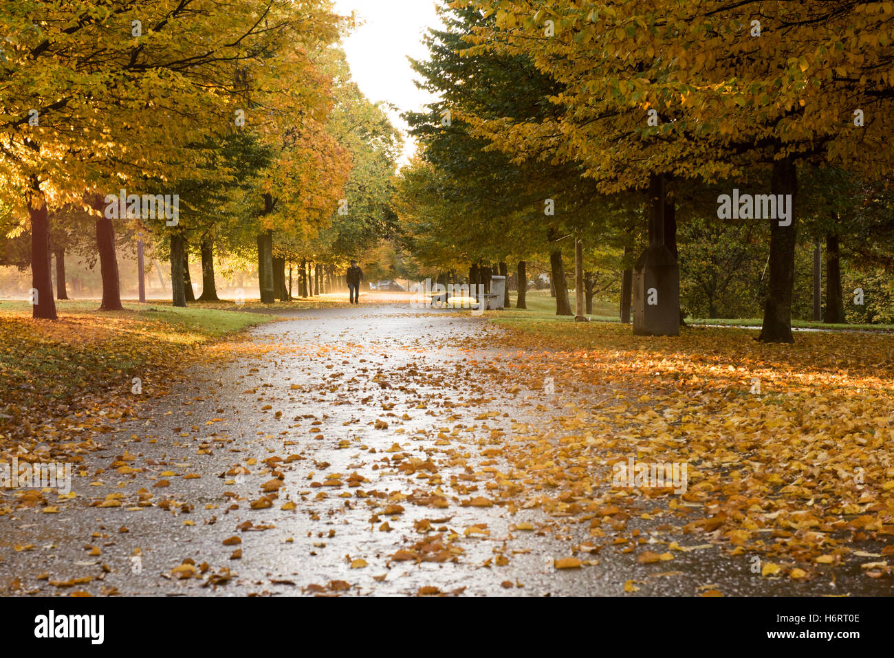 Glasgow, Scotland, UK. 1st November, 2016. Early morning autumn ...