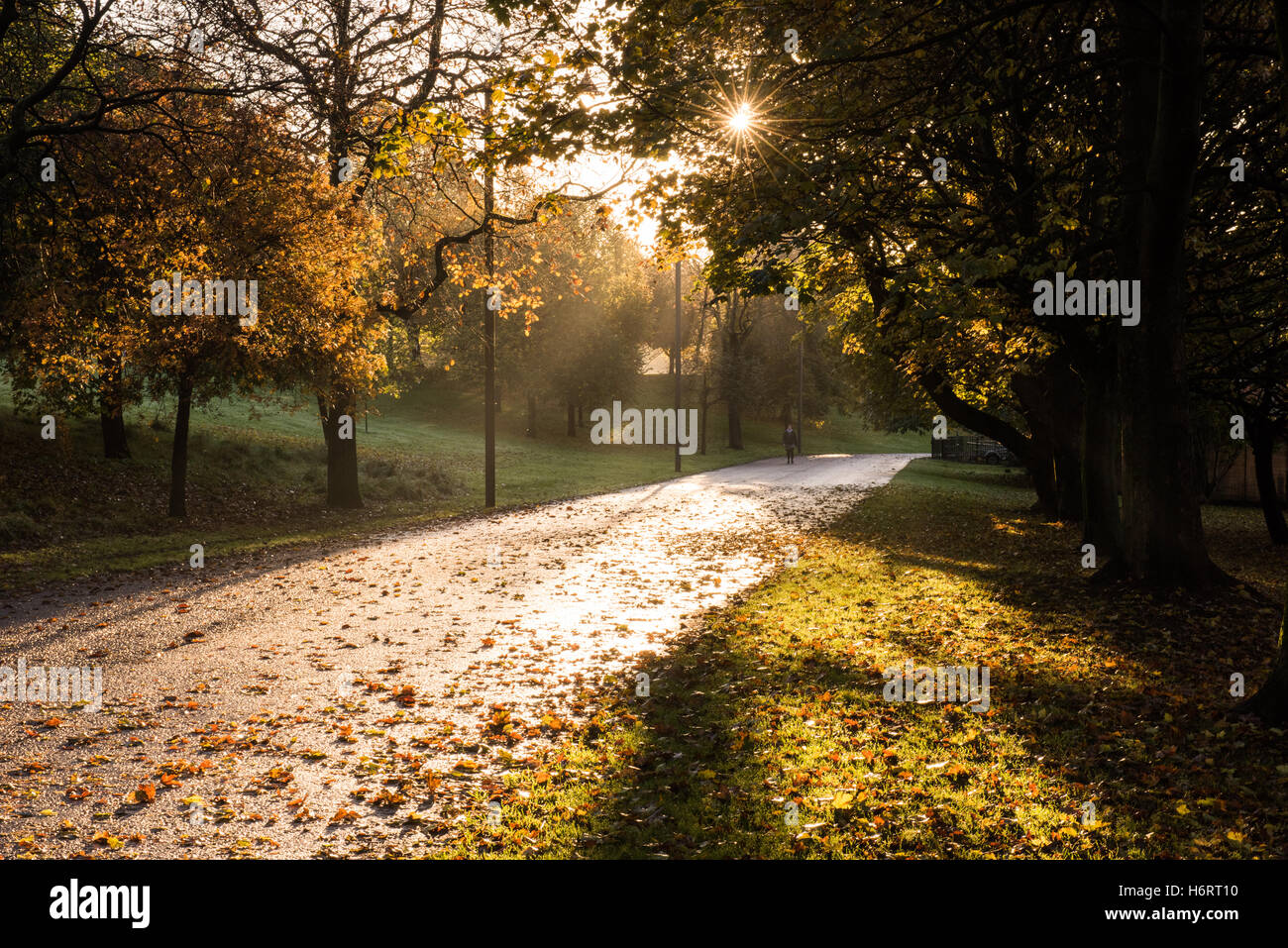 Glasgow, Scotland, UK. 1st November, 2016. Early morning autumn ...