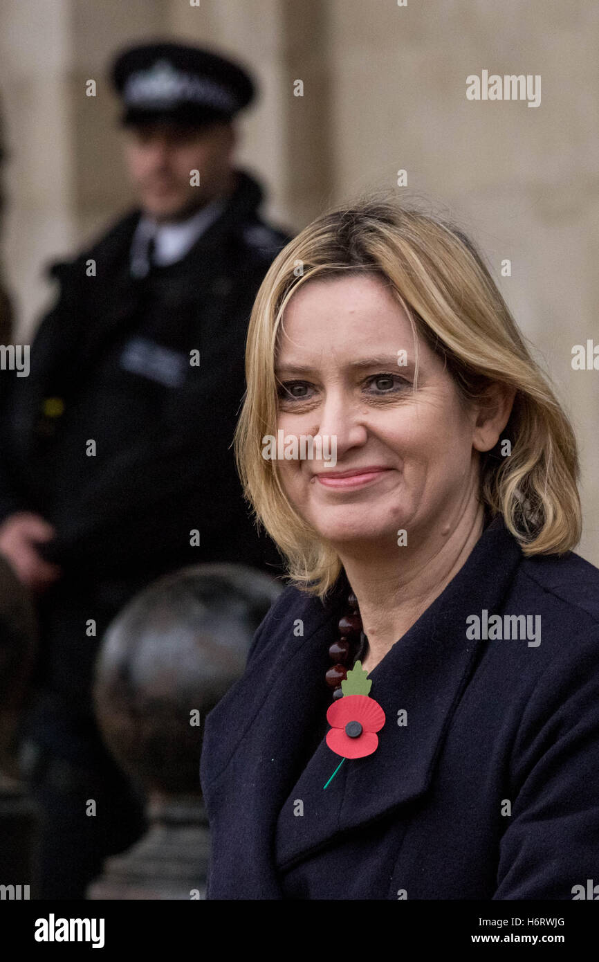Amber rudd hi-res stock photography and images - Alamy