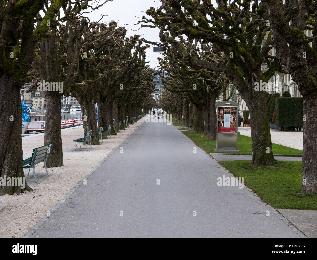 Road two rows trees hi-res stock photography and images - Alamy