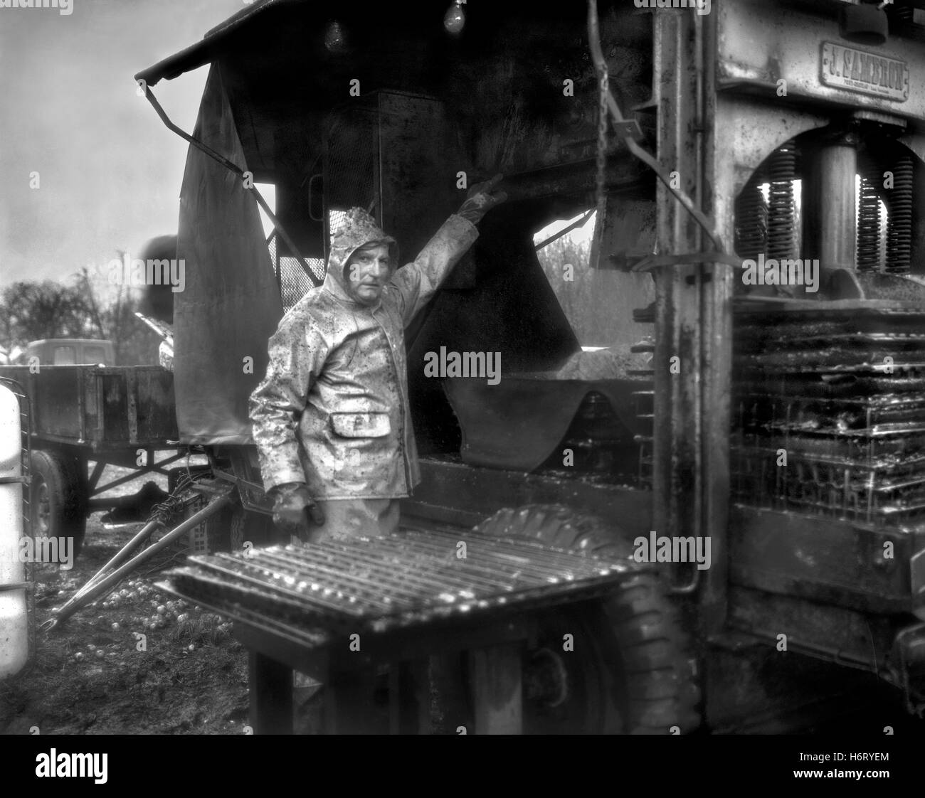 Old apples Black and White Stock Photos & Images - Alamy