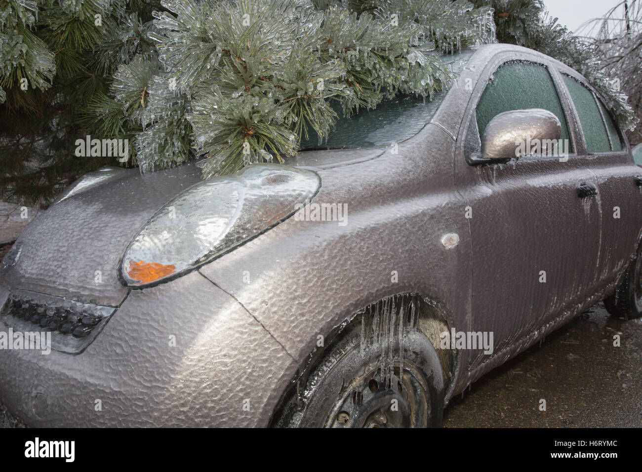 Ice rain hi-res stock photography and images - Alamy