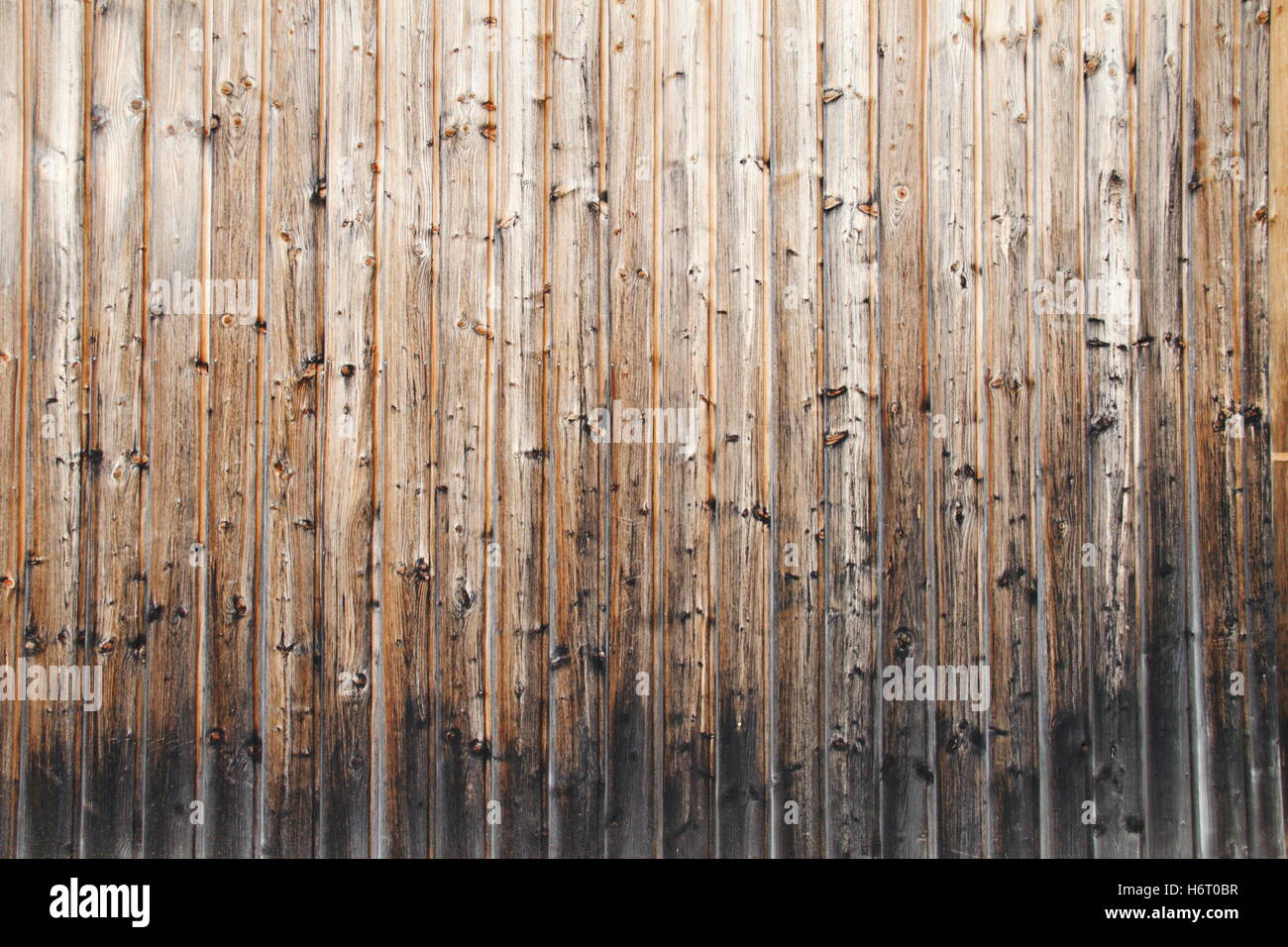 Wooden lodge backdrop hi-res stock photography and images - Alamy