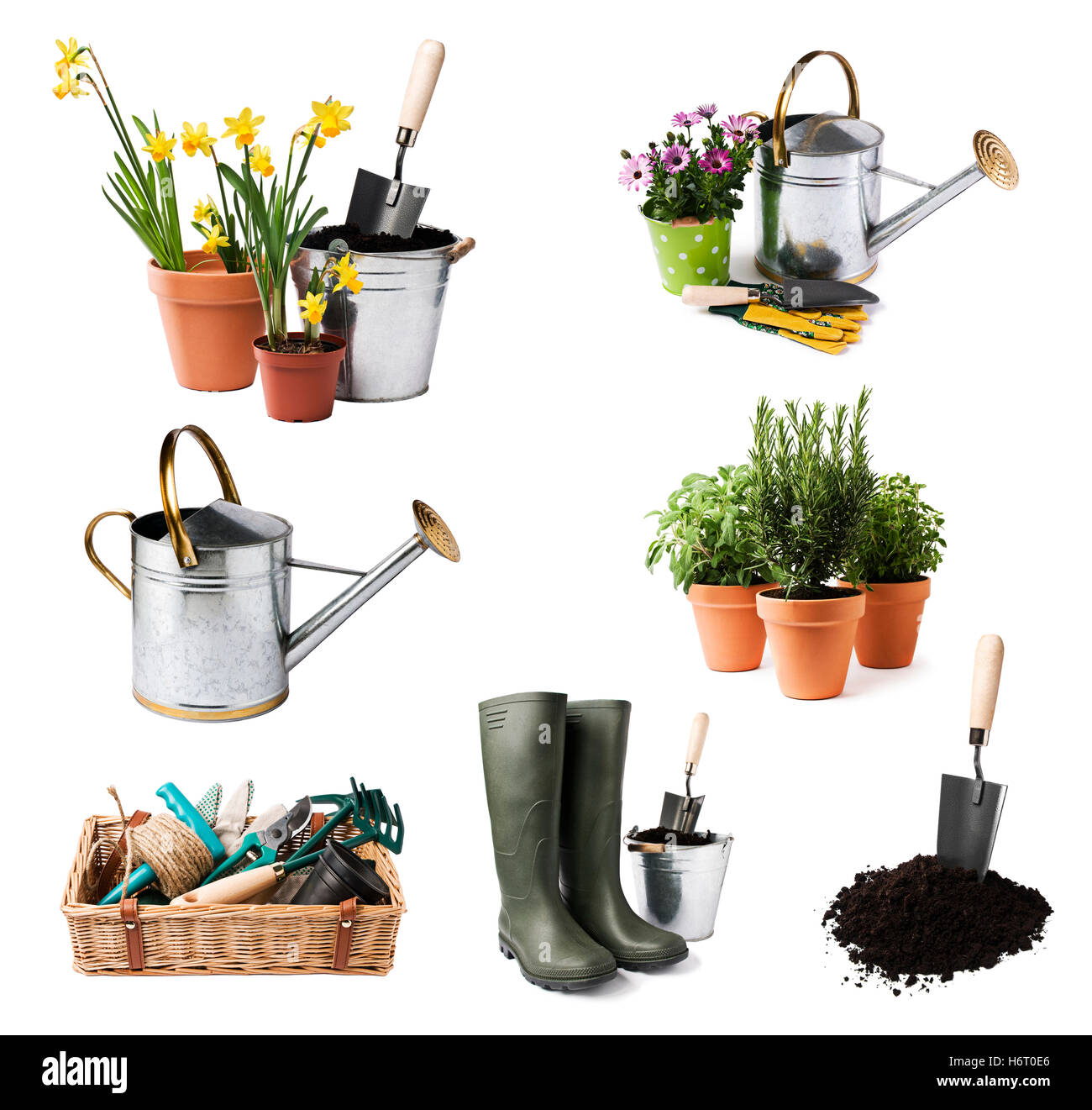 Humus soil Cut Out Stock Images & Pictures - Alamy