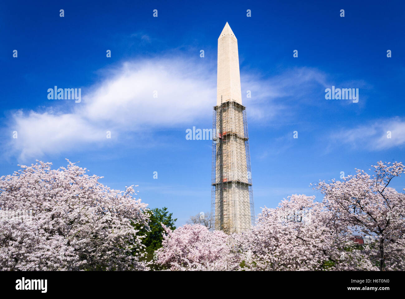 George washington and cherry tree hi-res stock photography and images ...