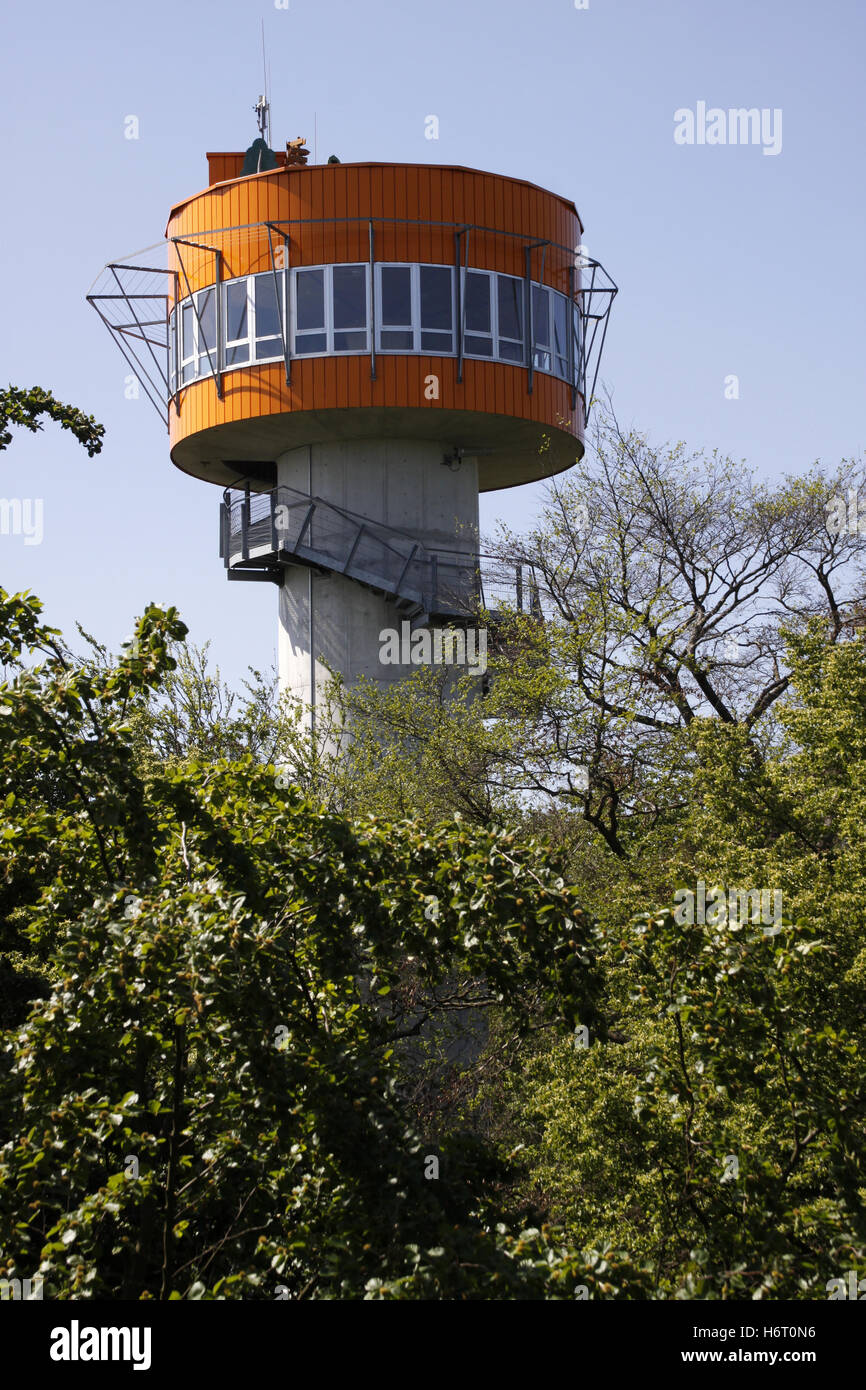 tower nature-sanctuary beech forest natural preserve tower virgin ...
