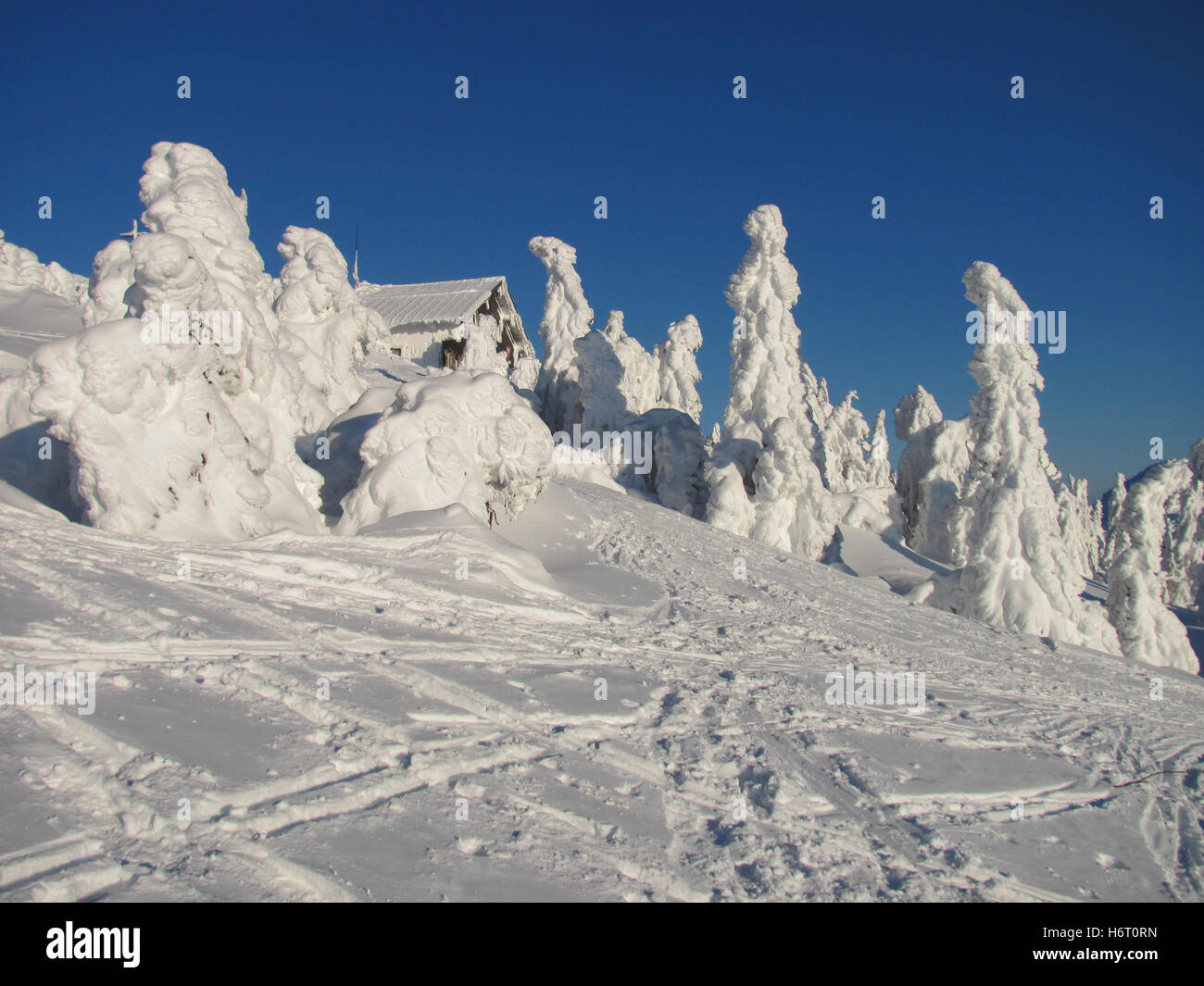 the arber mandl from great arber Stock Photo - Alamy