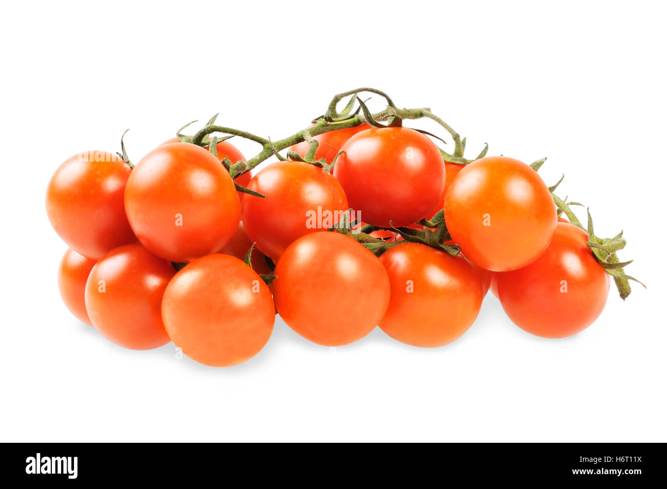 food aliment isolated ripe small tiny little short branch cherry ...