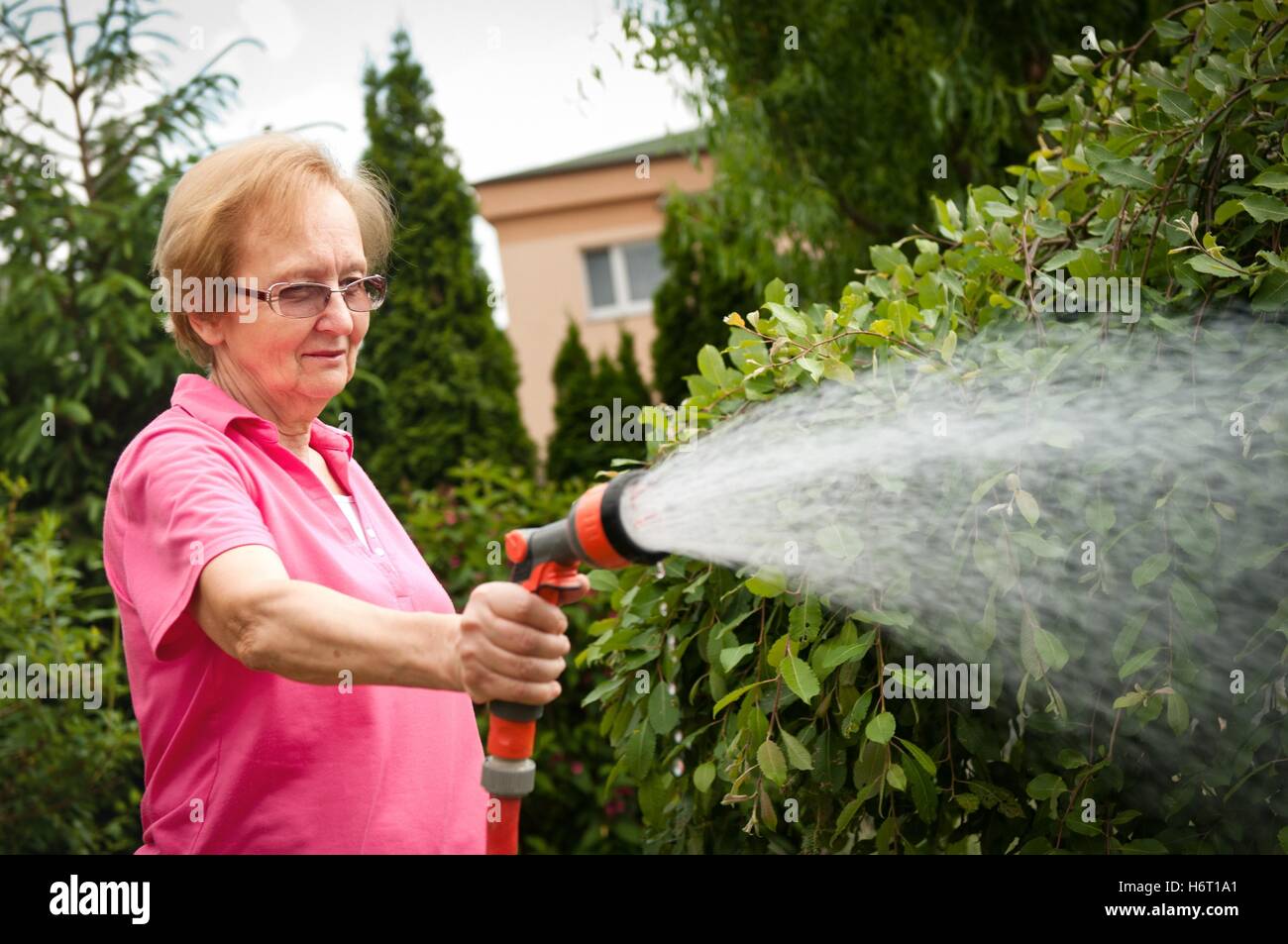 humans human beings people folk persons human human being garden person ...