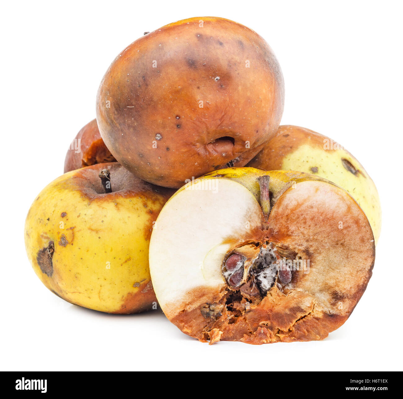 Rotten apples isolated on white background. Moldy vegetable Stock Photo ...