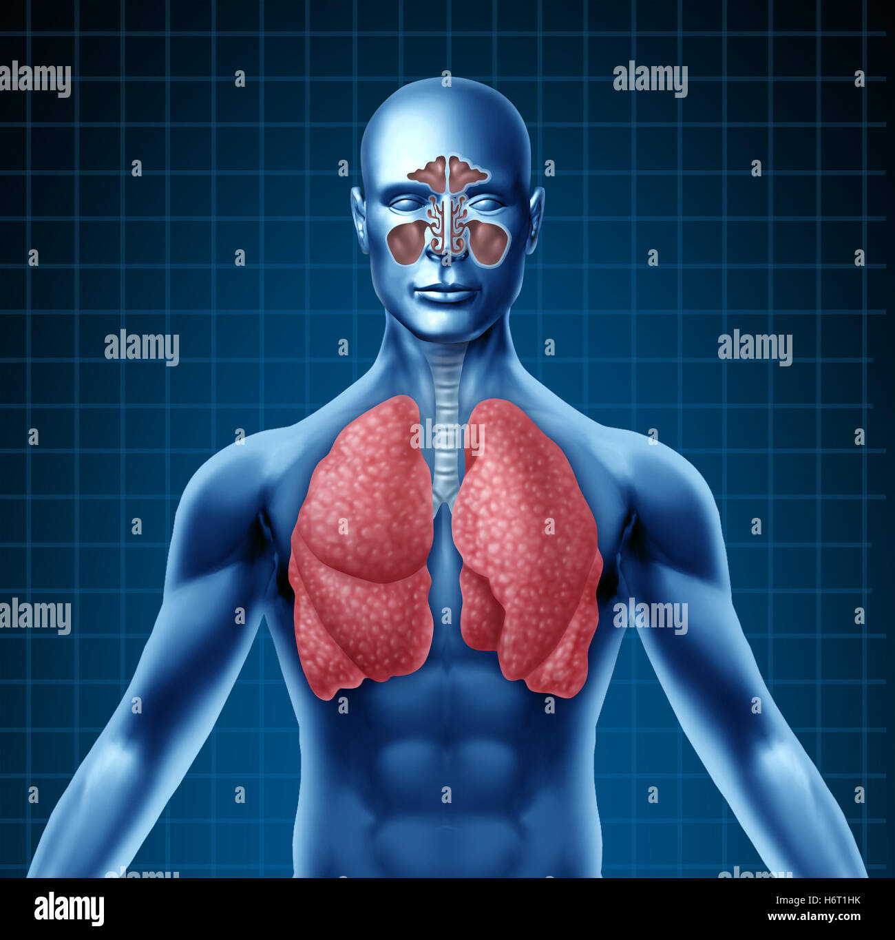 blue isolated nose health care anatomy sneeze sneezing allergy disease ...