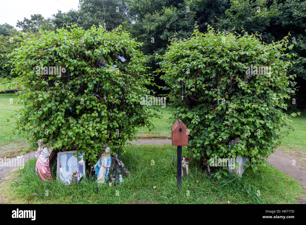 Rag tree near Doon Well, Kilmacrennan, County Donegal, Ireland Stock ...