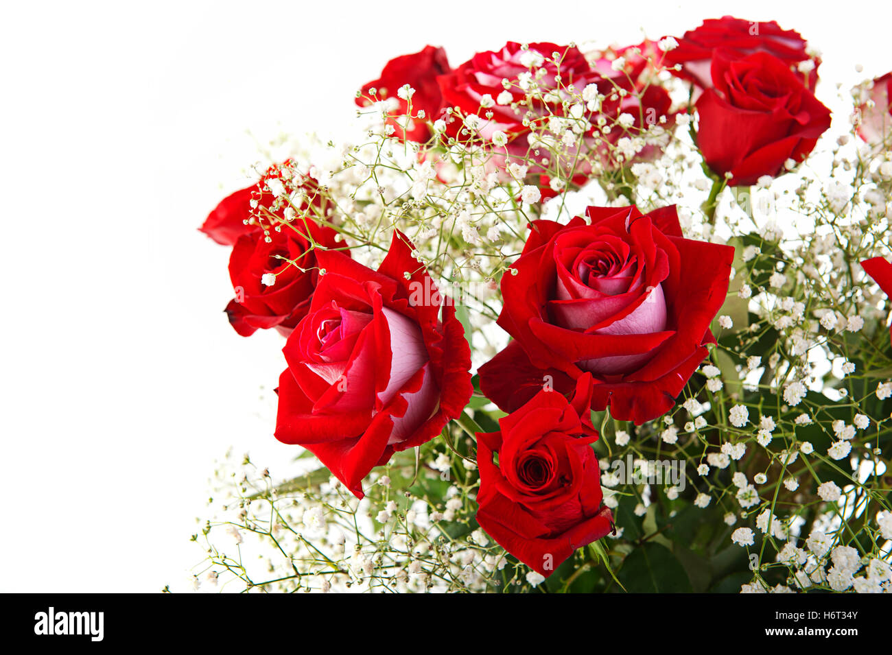 Flower rich plants hi-res stock photography and images - Alamy