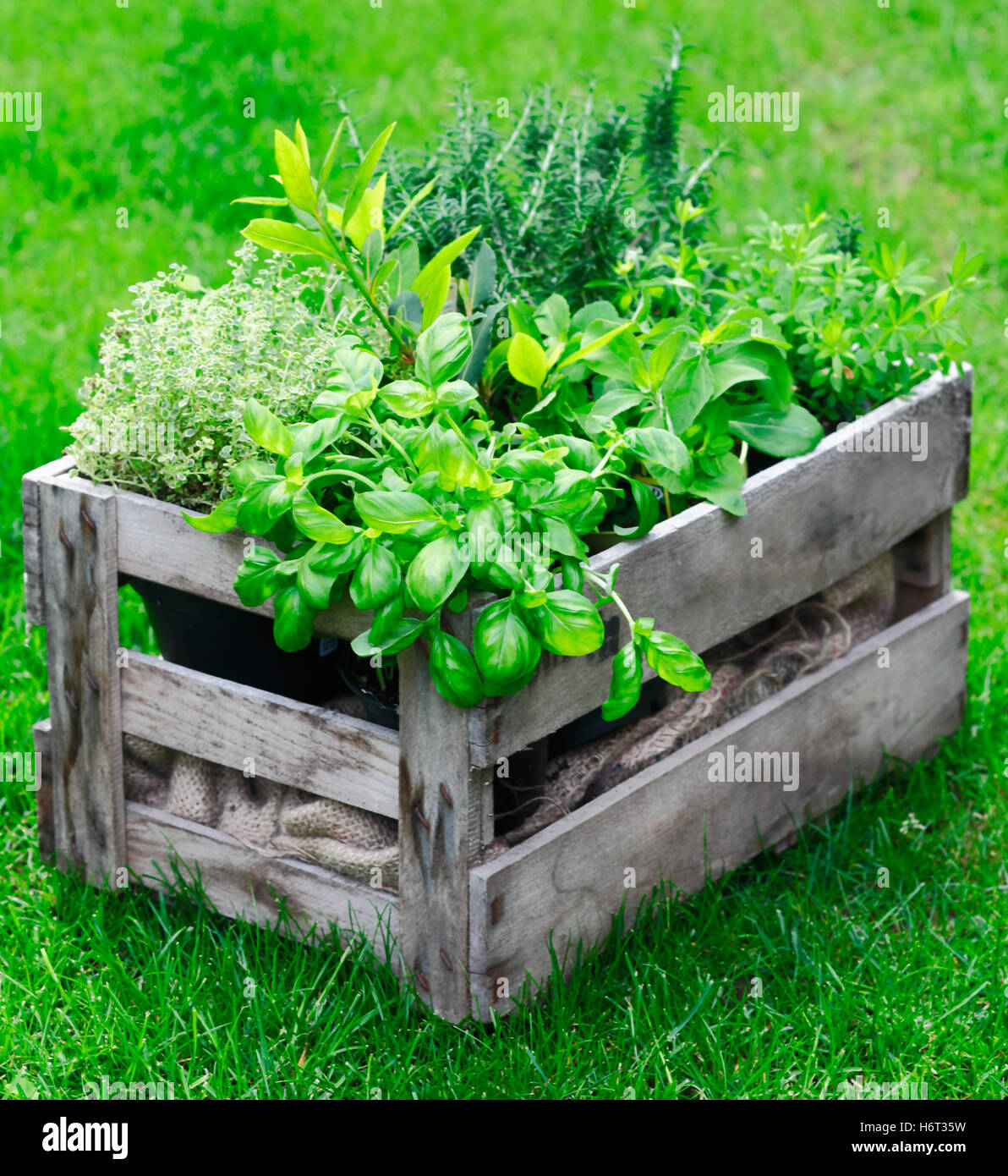 garden leaves summer summerly spring outdoor boil cooks boiling cooking ...