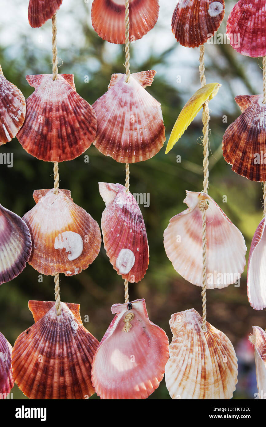 Garden utilities hi-res stock photography and images - Alamy