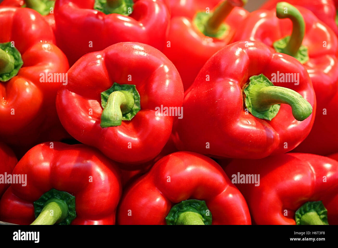 Flea pepper hi-res stock photography and images - Alamy