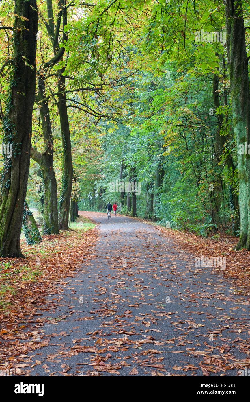 Different ground colors hi-res stock photography and images - Alamy