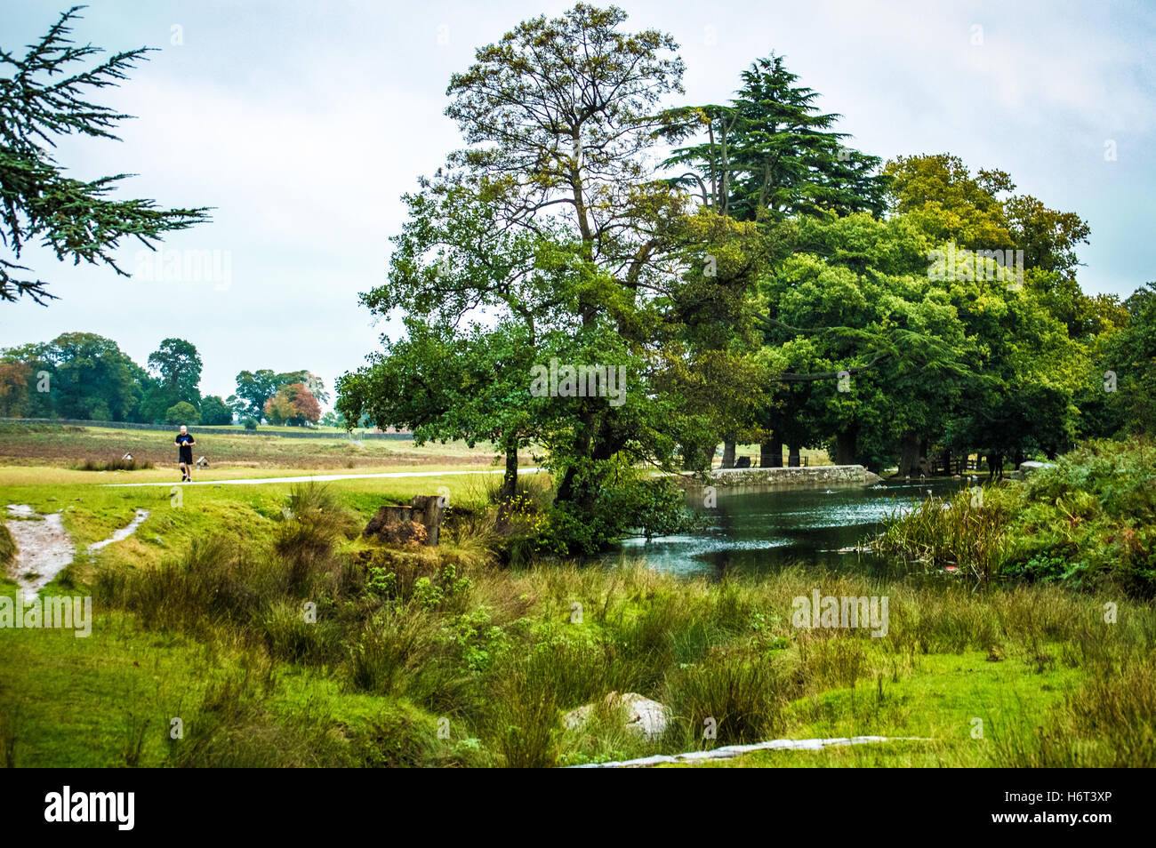 Bradgate park hi-res stock photography and images - Alamy