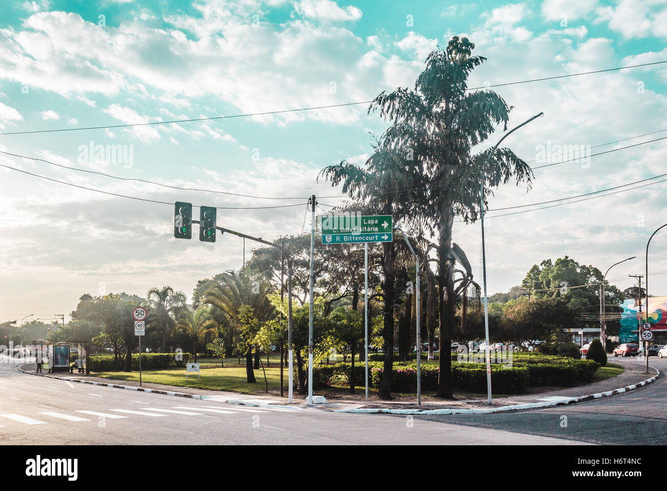 Photo of Brazilian Streets Full of Tropical Trees in San Paulo (Sao ...