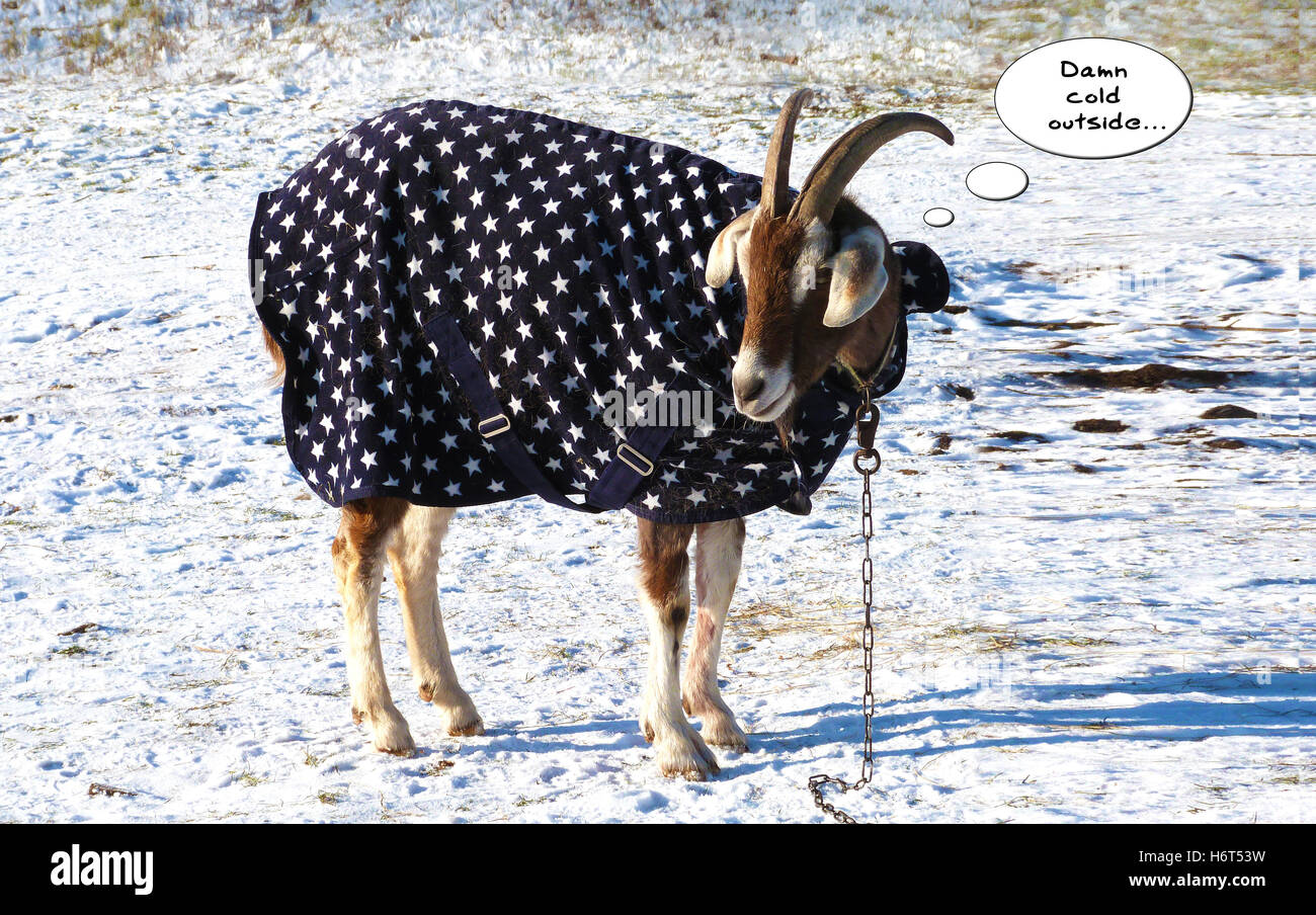 damn cold outside Stock Photo - Alamy