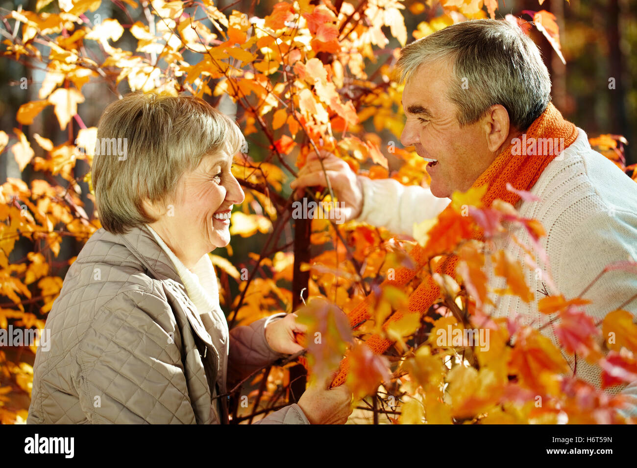 woman humans human beings people folk persons human human being laugh ...