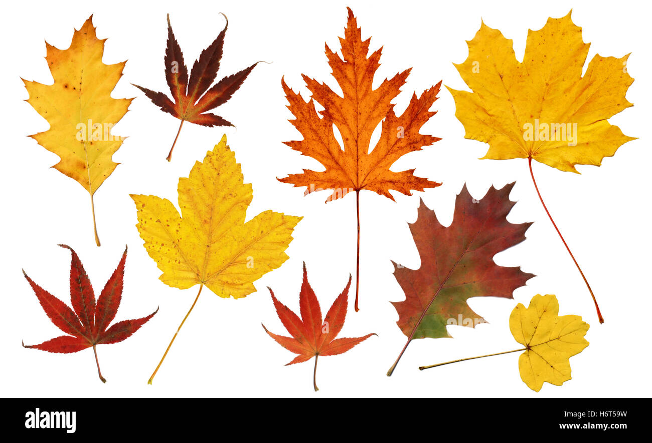 Isolated objects hi-res stock photography and images - Alamy