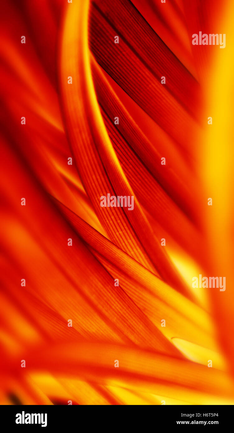 red flow background vertical Stock Photo - Alamy