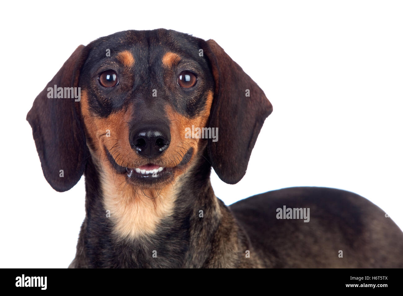 Human being small tiny hi-res stock photography and images - Alamy