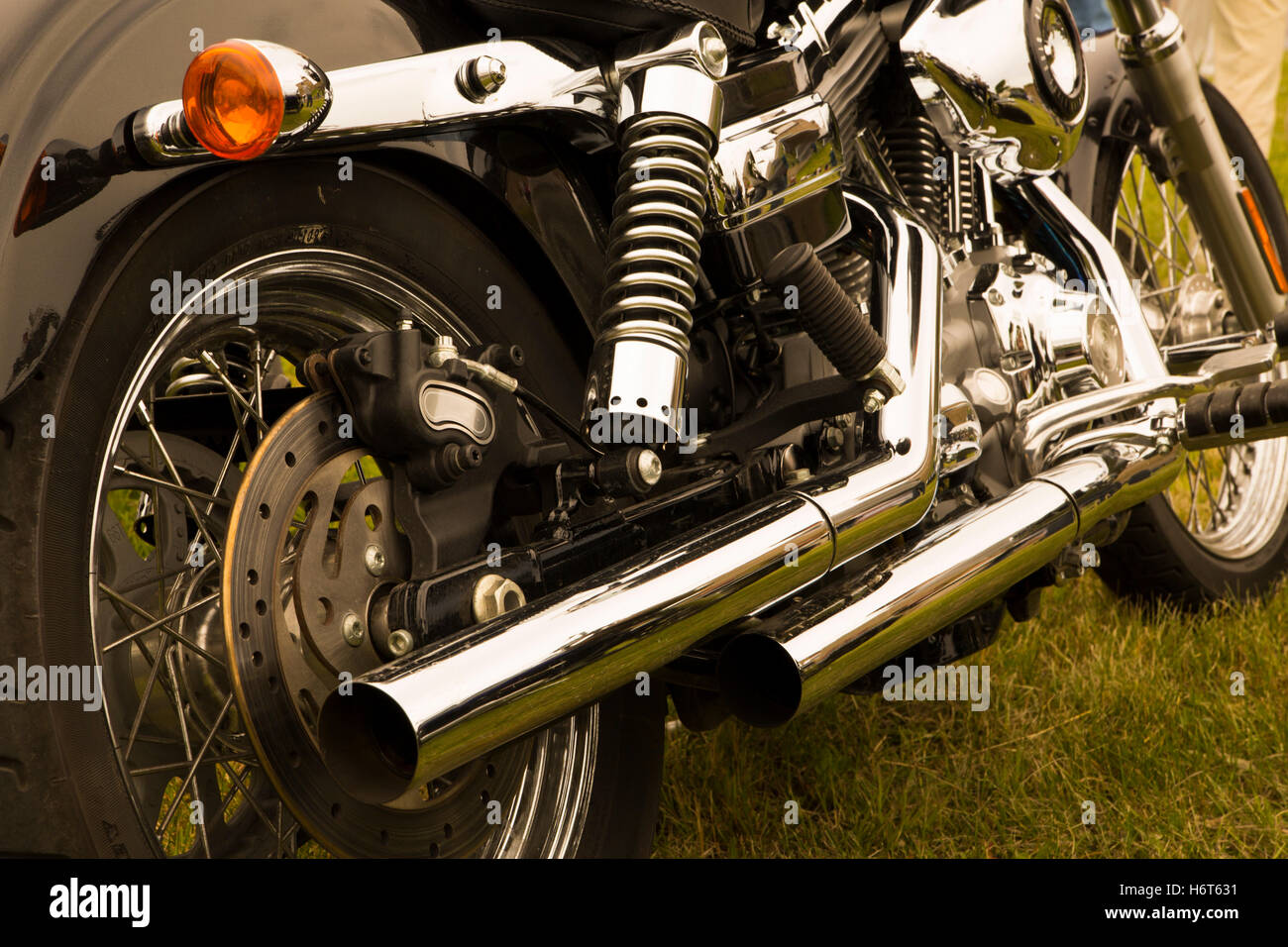 humans, human beings, people, folk, persons, human, human being, object ...