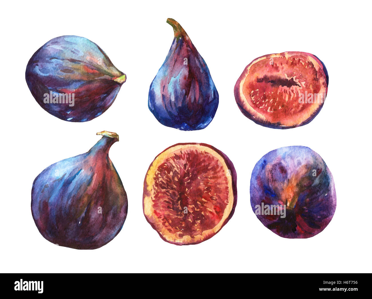 Figs in hand hi-res stock photography and images - Alamy