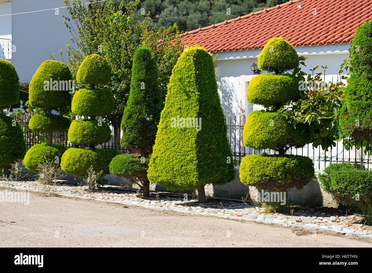 garden, hedge, fence, fence in, fencing, gardening, border, plant, city ...